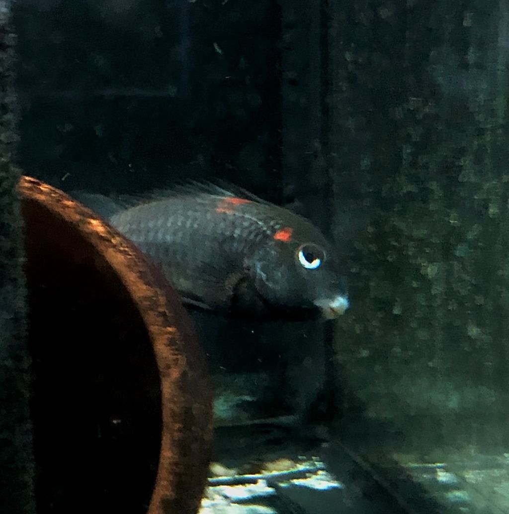 Untitled Document [adwlandscaping.com]