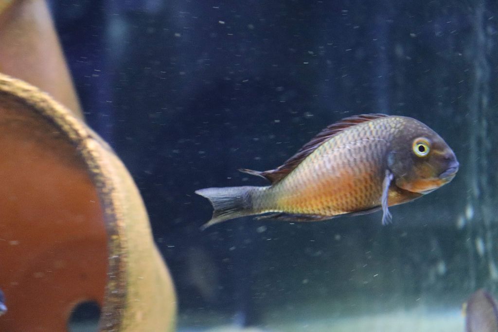 Untitled Document [adwlandscaping.com]