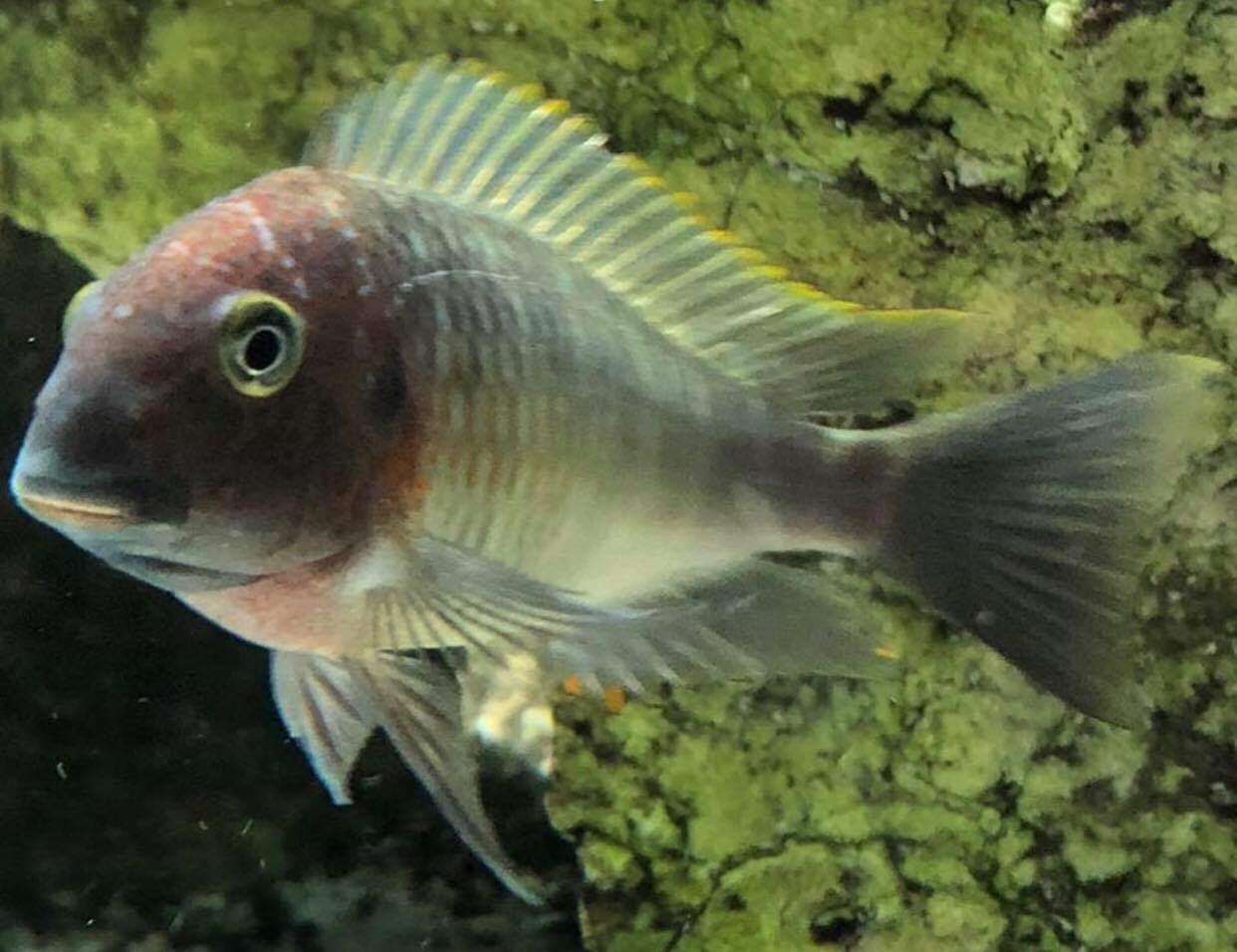 Untitled Document [adwlandscaping.com]